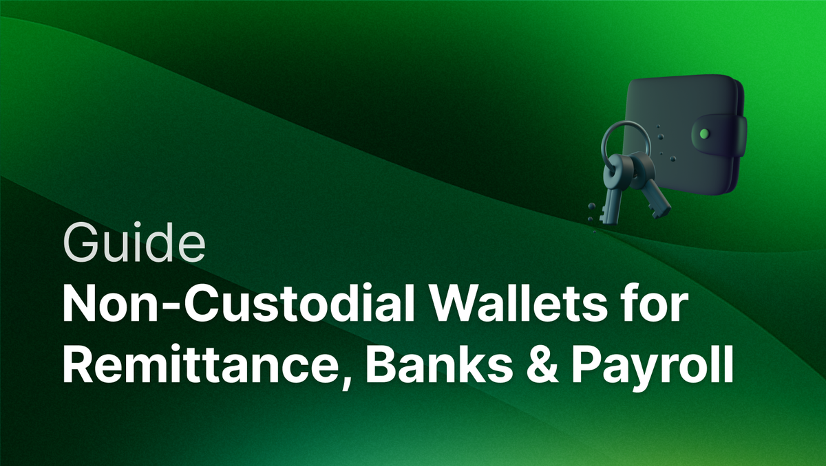 Non-Custodial Wallet Guide for Remittance, Banks & Payroll Companies