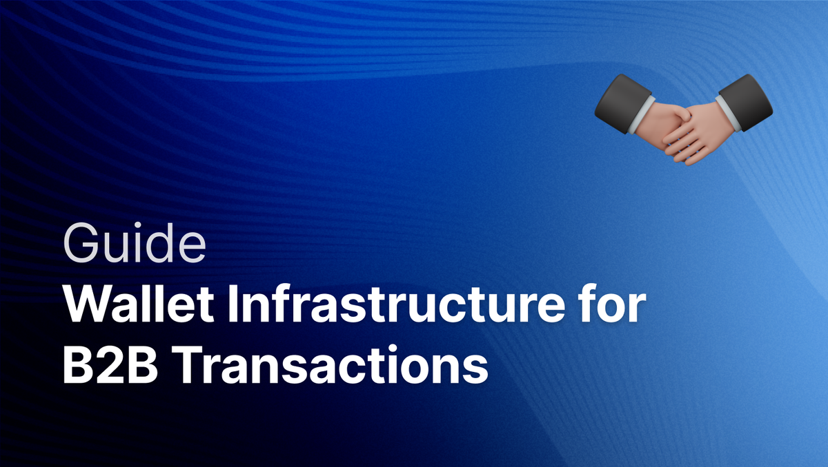 The Best Wallet Infrastructure for B2B Payments is Programmable